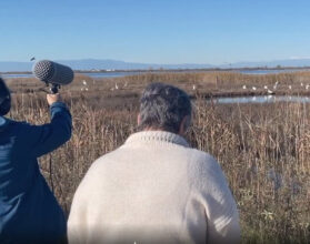 Επιστημονικά Ορόσημα 2026: Από τη Σελήνη στην Τεχνητή Νοημοσύνη - arthro.gr